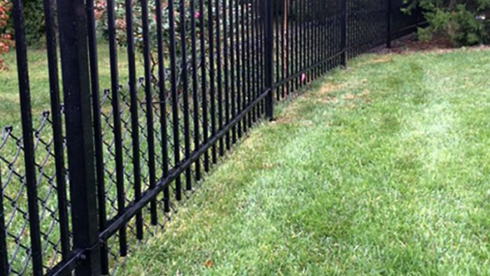 Fences for Small Dogs - Reddi Fence Wichita KS